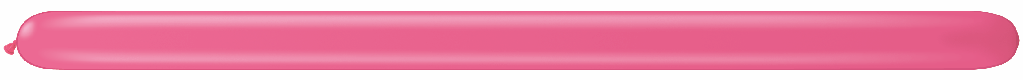 Buy 260Q Fashion Rose (100pcs) balloons for only 7.41 USD by Qualatex ...